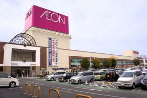Grocery stores in Tokyo, and Supermarkets as well: Top 5 to shop
