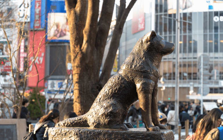 10 Things You Didn’t Know About Shibuya’s Famous Hachiko Statue - Coto ...