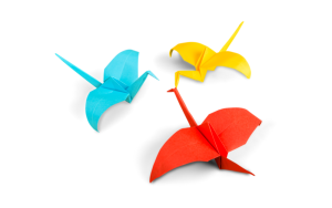 How to Talk About Your Interests and Hobbies in Japanese - Coto Academy