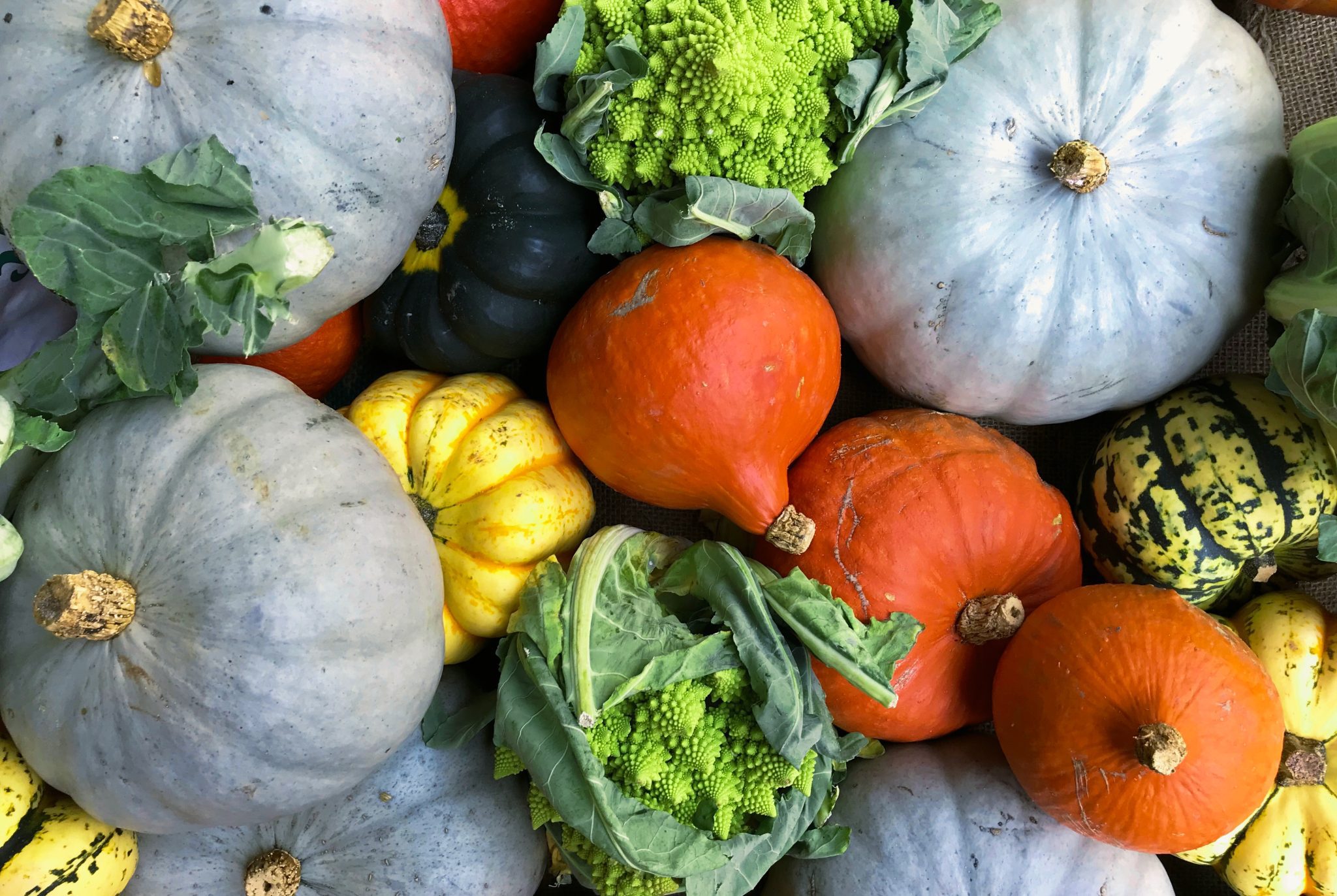 Not Just Pumpkin Spice: Autumn Foods in Japan - Coto Academy