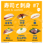 Sushi Types and Sushi Names in Japanese: Beginner Guide