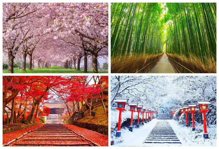 How to talk about the seasons in Japanese - Winter, Spring, Summer, Fall