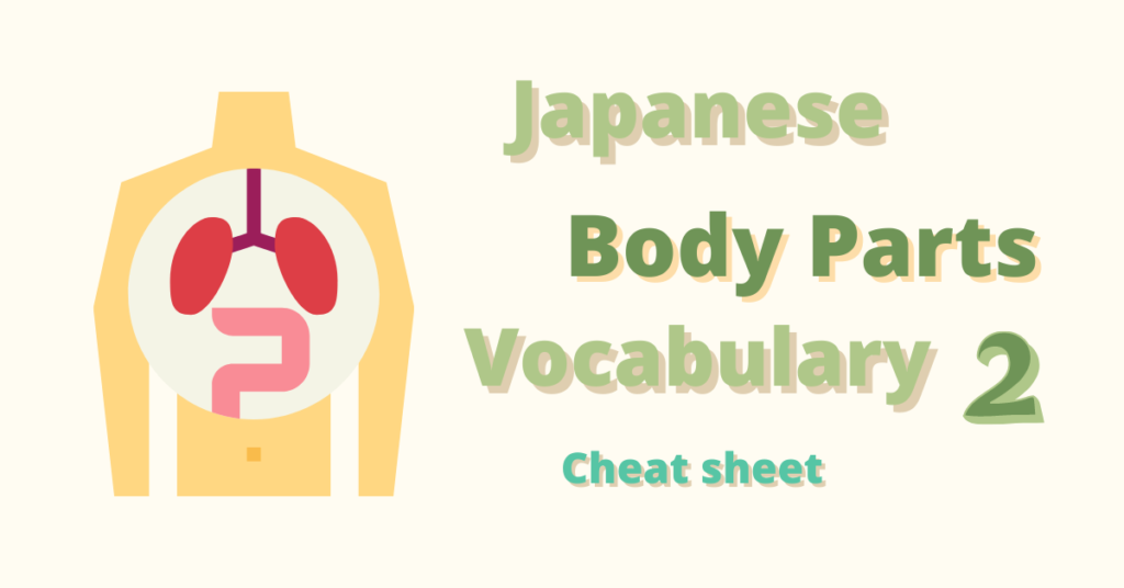 Japanese Body Parts Vocabulary 2 - Cheat Sheet | Coto Academy