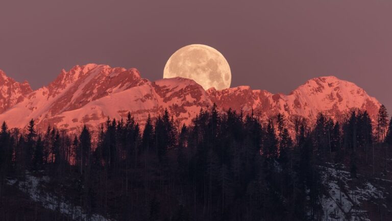 How to Write a Haiku (And 14 Famous Examples for Inspiration)