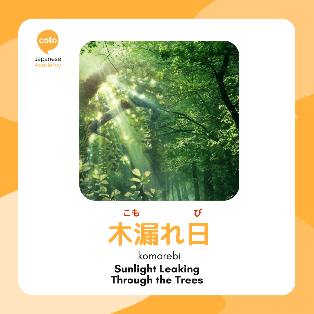 21 Beautiful Japanese Words You Can't Translate into English