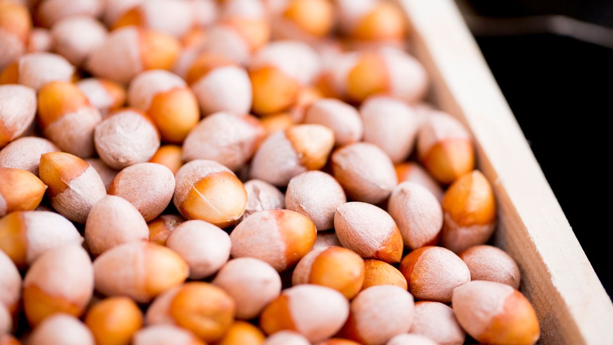 15 Delicious Autumn Foods in Japan You Need to Try