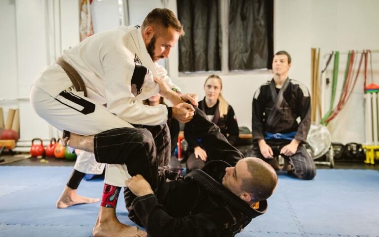 Combat Sports In Japan: Japanese Martial Arts And Beyond