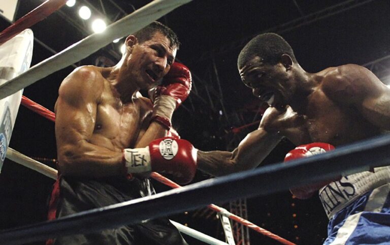 Combat Sports In Japan: Japanese Martial Arts And Beyond